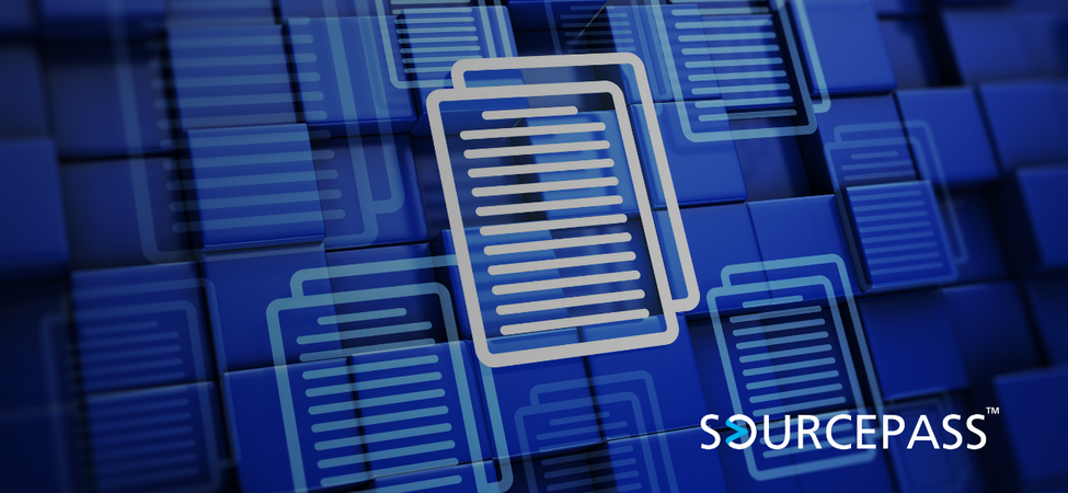 The Importance of Network Documentation | Sourcepass The Importance of Network Documentation | Sourcepass